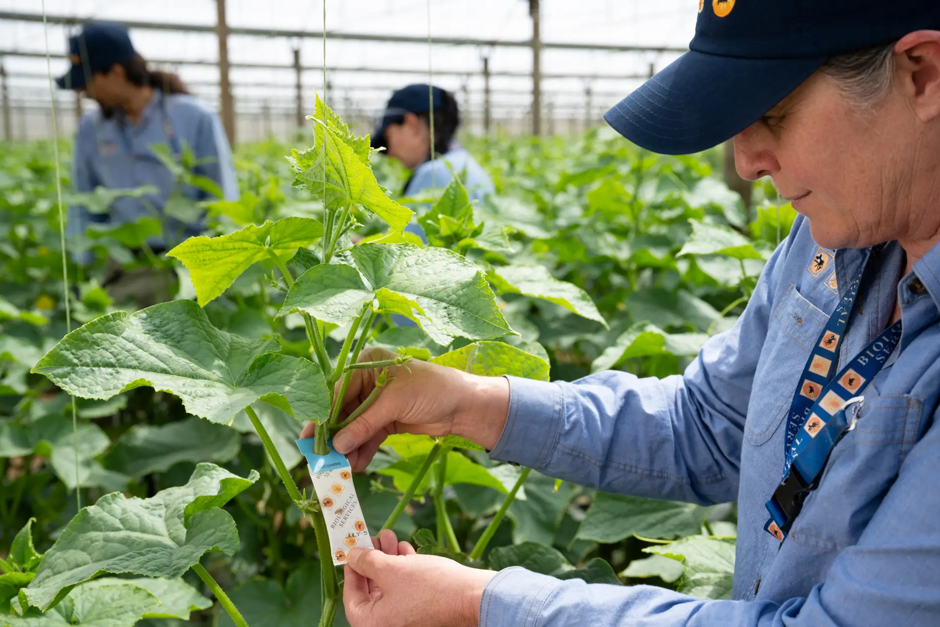 Our People | Biological Services - Meet Our IPM Experts