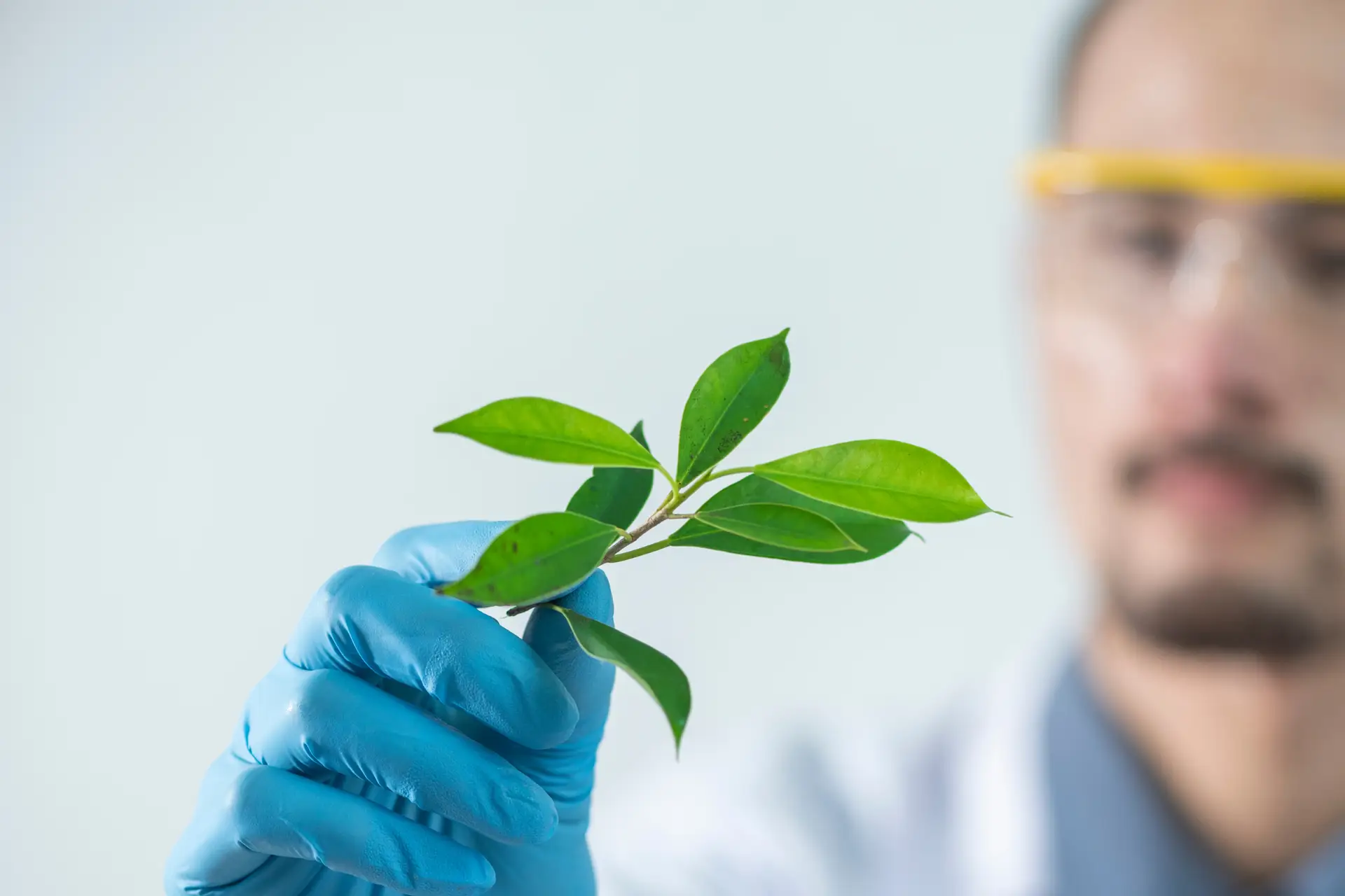 Research & Development | Biological Services - Innovative IPM Solutions