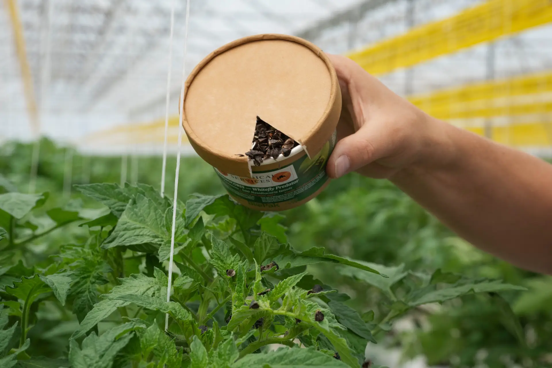 IPM Benefits | Biological Services - Integrated Pest Management in ...